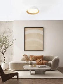 LED stmívatelné bílo-dřevěné moderní stropní svítidlo Sigi