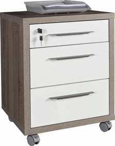 XXXLutz POJÍZDNÝ KONTEJNER, 48/63/45 cm Carryhome - 002593006304