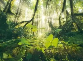 RAVENSBURGER Puzzle Čtyři roční období / 4x 500 dílků / rozměr 49x34 c