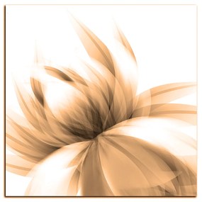 Obraz na plátně - Elegantní květ - čtverec 3147FA (80x80 cm)