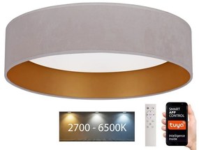 Brilagi | Brilagi - LED Stmívatelné svítidlo VELVET SMART LED/36W/230V Wi-Fi Tuya + DO | BG0441