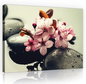 Postershop Obraz na plátně: Zen a květiny - 75x100 cm