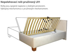 NEW DESIGN postele Čalouněná postel VIVAT s úložným prostorem, 160×200 cm Velikost postele: 160 × 200 cm