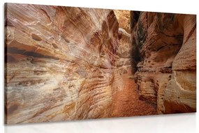 Obraz cestička Grand Canyonem - 120x80 cm