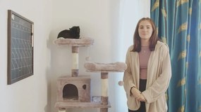 Feandrea stabilní kočičí šplhací věž s jeskyní, 143 cm, světle šedá