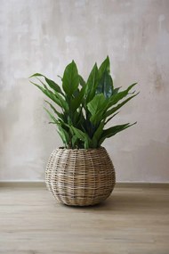 Přírodní koš na rostliny PALLA, ratan, průměr 55 cm, natur