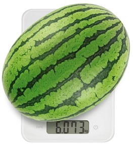 Digitální kuchyňská váha ACCURA 15,0 kg