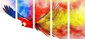 5-dílný obraz let papouška Varianta: 200x100