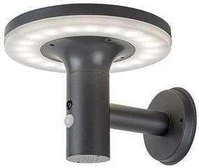 Rabalux ALASKA LED solarní lampa 77017