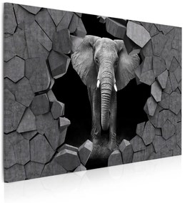 Moderní obraz na zeď - slon v kameni