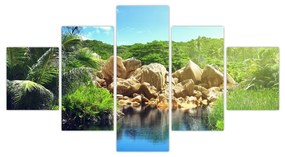 Obraz jezera v Seychelské džungli (125x70 cm)
