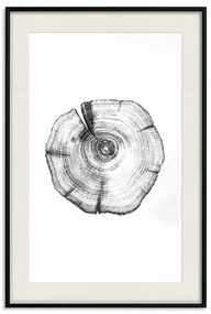 Plakát Plátek stromu