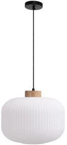 Toolight, stropní svítidlo ze skla 1xE27, bílá, OSW-04412