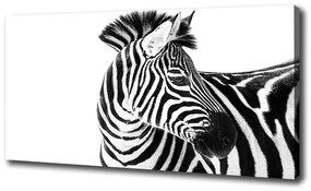 Wallmuralia Foto obraz canvas Zebra ve sněhu 100x50