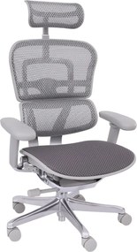 Kancelářská židle Ergohuman 2 Elite ST GT grey