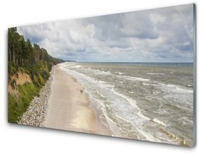 Obraz na skle Pláž Moře Strom Příroda 100x50 cm