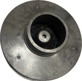 Brilix Turbína čerpadla FXP 750 (SS100, Combo master) 1 HP