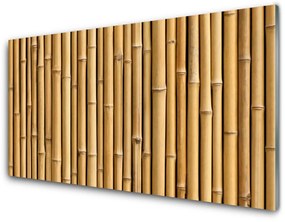 Obraz na skle Bambus Rostlina Příroda 100x50 cm
