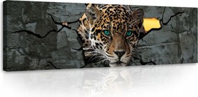 Obraz 145x45pop-art jaguár Zelené oči přes vytržení