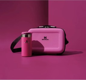 Svačinový box All Day Arista Mini Lunch Box Dew Drop – Stanley
