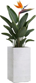 Sada 2 ks květináčů BETONIQUE 30x30/30x60 cm - výběr z 4 provedení