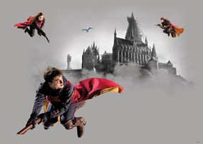 AG Design vliesová fototapeta FTDM5293 Harry Potter 155 x 110 cm