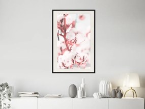 Plakát Bavlna v rozkvetu - jemné květiny bavlny ve zimním světle
