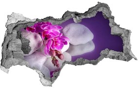 Wallmuralia Fotoobraz díra na stěnu Orchidej 95x73 cm