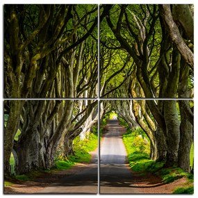 Obraz na plátně - Tmavé ploty v  Irsku - čtverec 3134D (60x60 cm)