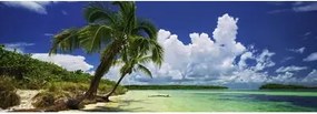HEYE Panoramatické puzzle Palmový ráj / 2000 dílků / 136 x 48 cm