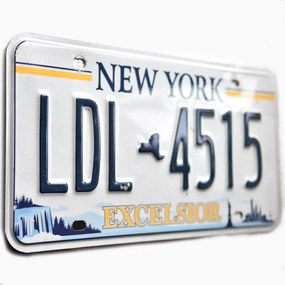 Americká SPZ New York Excelsior LDL 4515