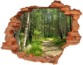 Wallmuralia Díra 3D ve zdi nálepka Stezka v lese 90x70 cm