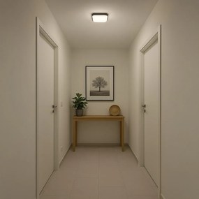 Stropní LED svítidlo Nemo, 1x LED 11w, 4000k, b