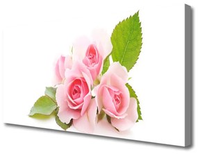 Obraz na plátně Růže Květiny Příroda 125x50 cm