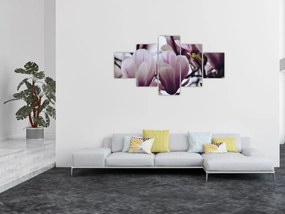 Obraz - Magnolie (125x70 cm)