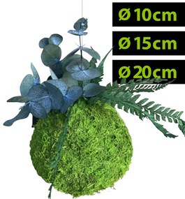 Závěsná kokedama ze stabilizovaného mechu a rostlin | světle zelená Průměr koule: 15 cm