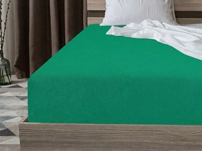 Froté prostěradlo PREMIUM mentolové 200x220 cm