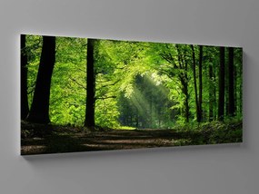 Liox XXL Obraz zelený les v ÚSVITU Rozměr: 200 x 100 cm