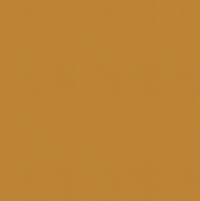 Lentex, PVC podlaha - lino Flexar PUR 603-08 oranžová, na míru, šíře 2m,4m, oranžová, bez podkladu, kancelář
