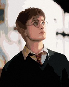 Malování podle čísel portrét harry potter, 40x50 cm, vypnuté plátno na rám