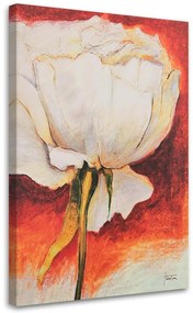 Obraz na plátně Květ pivoňky malovaný - 40x60 cm
