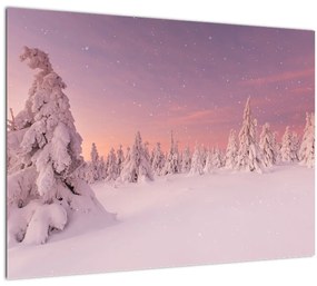Obraz - Stromy pod sněhovou přikrývkou (70x50 cm)