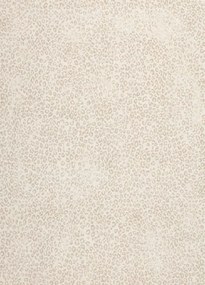 Koberce Breno Kusový koberec PIAZZO 12268/100, Béžová, Vícebarevné, 120 x 170 cm