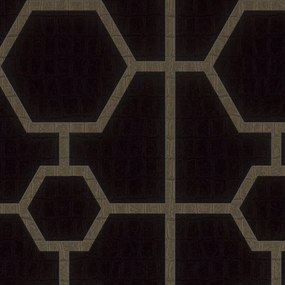 Černá geometrická vliesová tapeta s vinylovým povrchem Z80023 Philipp Plein