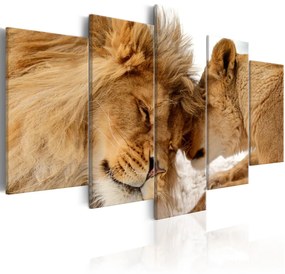 Obraz lví láska + háčky a hřebíčky ZDARMA Velikost (šířka x výška): 200x100 cm
