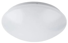 Rabalux Rabalux 3439 - LED koupelnové stropní svítidlo LUCAS LED/24W/230V RL3439