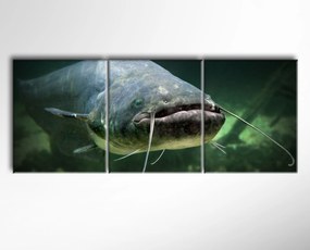 Malvis ® Obraz Sumec pod vodou ROZMĚR (šířka x výška): třídílný obdélník 150x60 cm