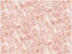 GALISON Oboustranné puzzle Ashley Woodson Bailey / 500 dílků / 61x46 c