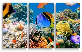 Sablio Obraz - 3-dílný Korálový útes - 120x80 cm