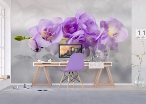 Fototapeta na míru Něžná Orchidej | Vliesová fototapeta na zed' | DFTNXXL2400